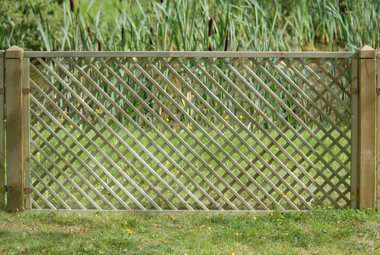 Diamond Trellis Panel - Hennessy Outdoors